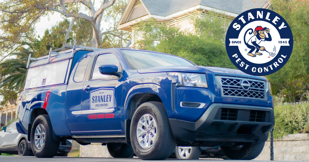 How to Control Mosquitoes Around Your Home - Stanley Pest Control